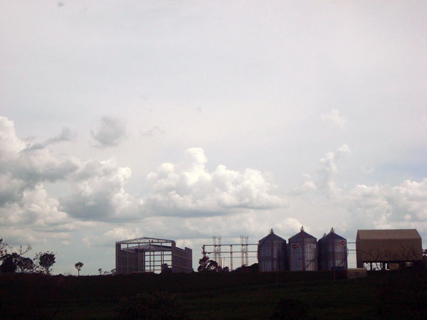 Cooxupé, a maior cooperativa de café do mundo, lidera também o ranking ...