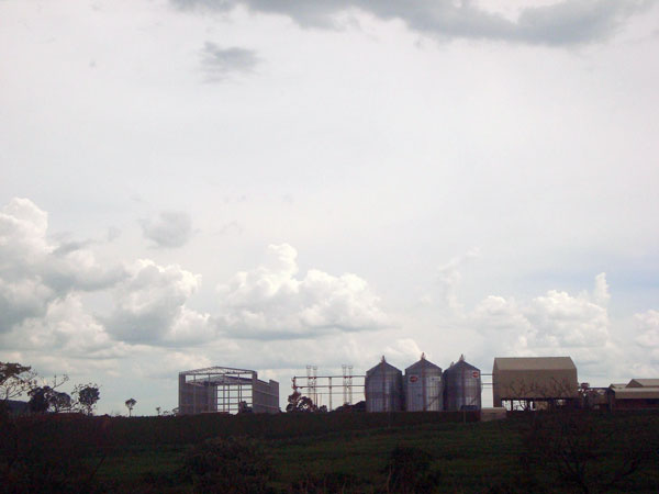 Cooxupé, a maior cooperativa de café do mundo, lidera também o ranking ...